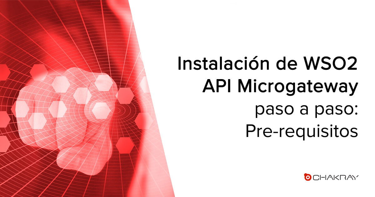 Guía de cómo intalar WSO2 API Microgateway paso a paso