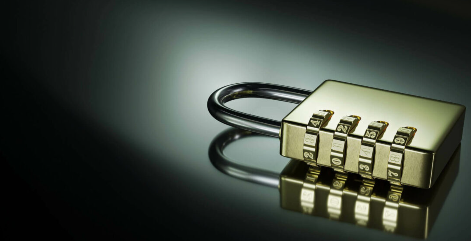 The Era of Self-Sovereign Identity | The evolution of Identity Managament